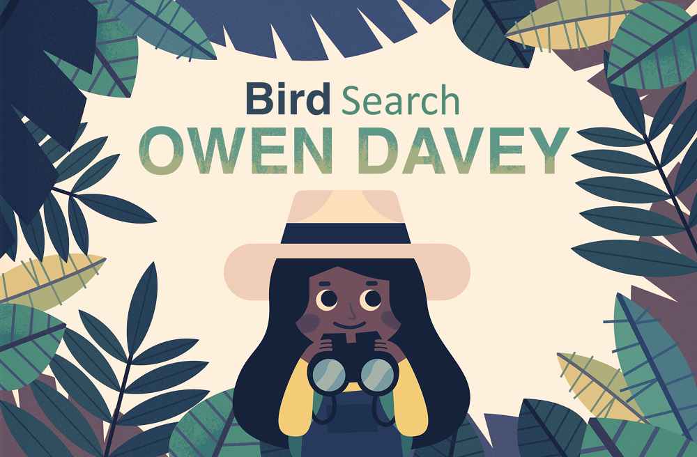 Bird Search - Owen Davey Illustration